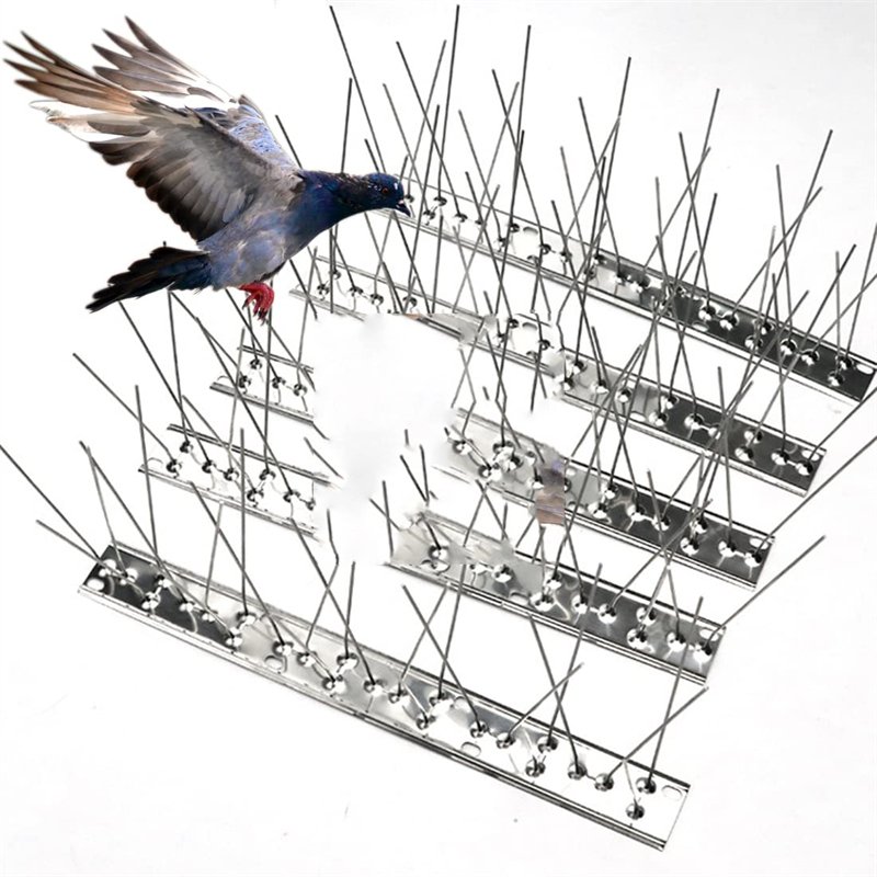 Bird Spikes: Your Solution for Preventing Bird Problems
